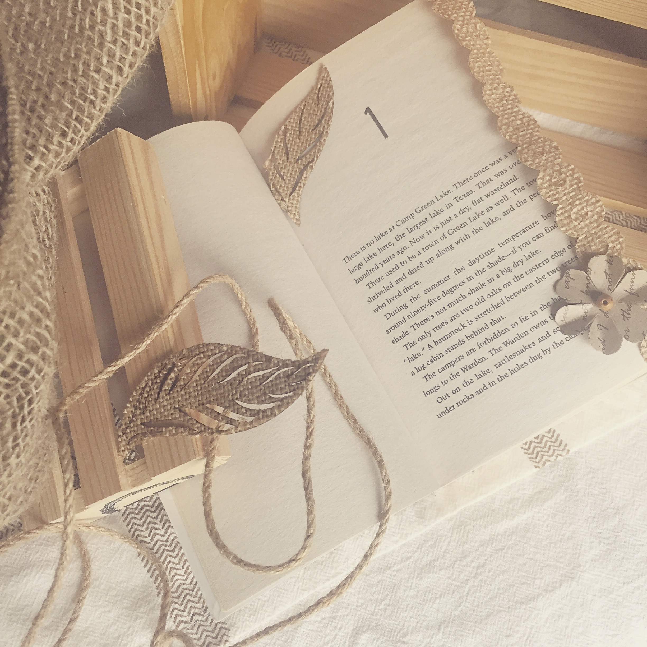 Lights. Camera. Read. (Part Two) – Rose on Reading